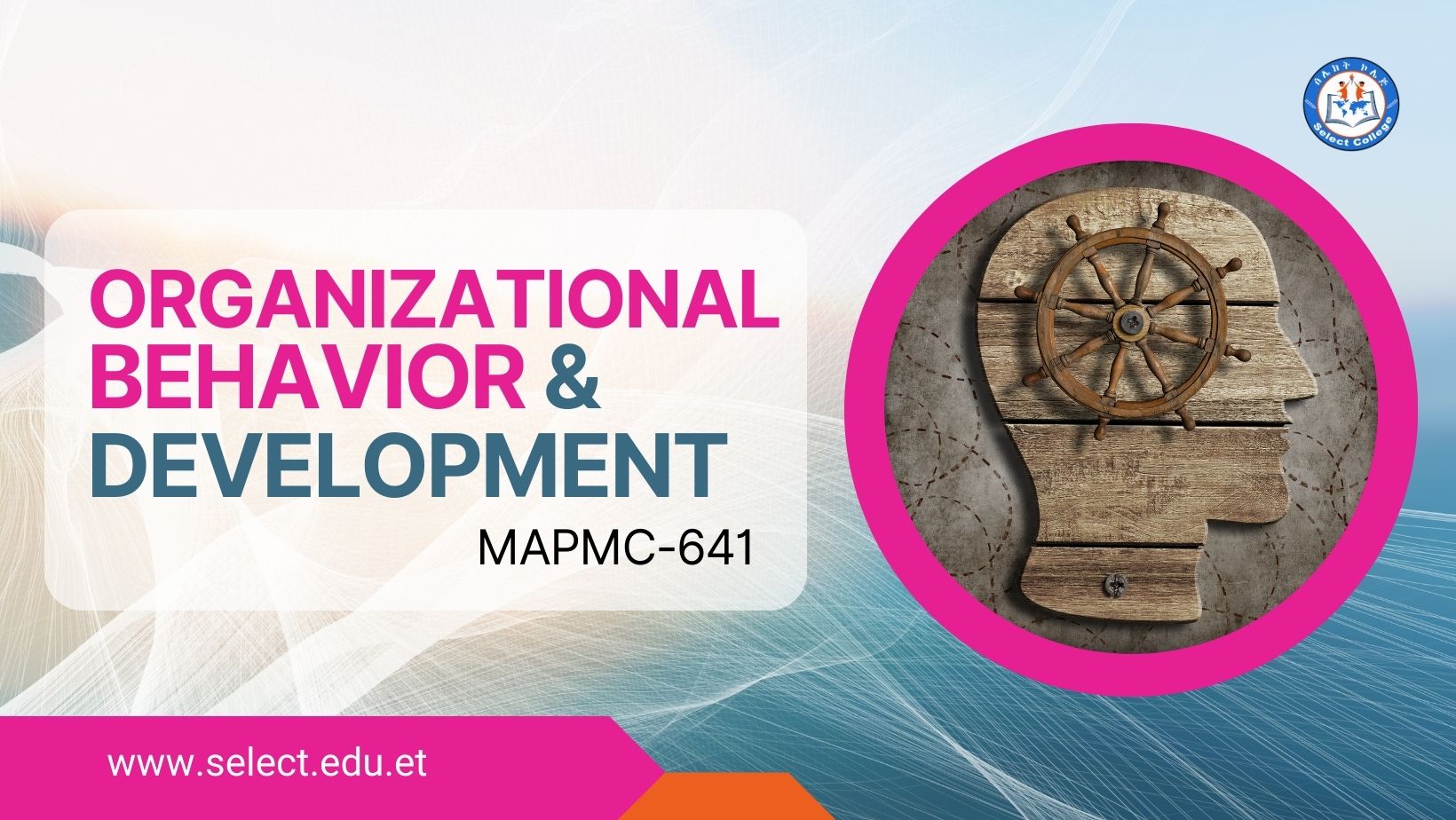 Select College Learning Management System